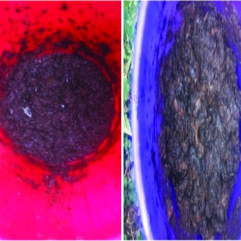 Composting Procedure Download Scientific Diagram