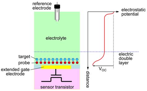 Sensors Free Full Text An Integrated Isfet Sensor Array