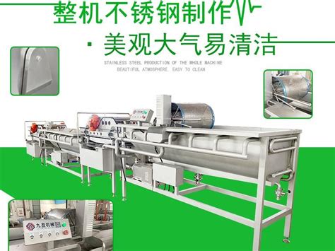 广州九盈机械净菜生产线 解决净菜加工中的蔬菜挑拣 切分 清洗机 广州九盈机械净菜生产 广州市九盈机械设备有限公司推广部
