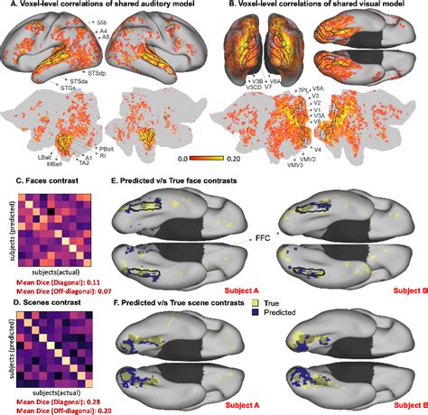 A Shared Neural Encoding Model For The Prediction Of Subject Specific Fmri Response