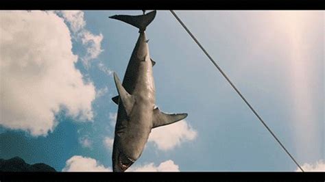 New Jurassic World Stills Jurassic World Trailer Jurassic Park World