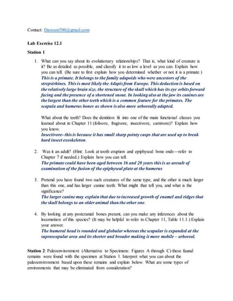 Lab Exercise 121 141 142 Anthropology Docx