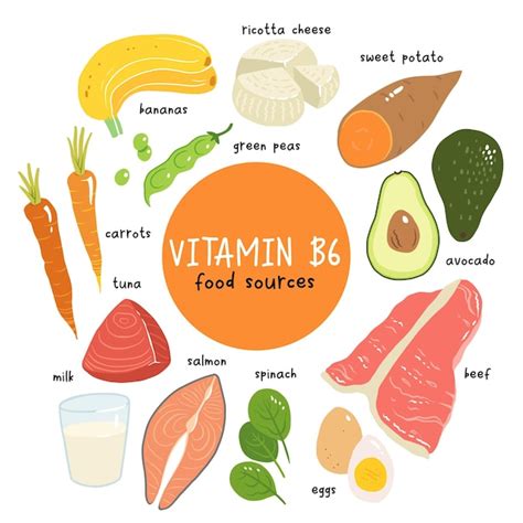 Premium Vector Vitamin B6 Vector Stock Illustration Food Products