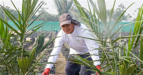 El Pbi Agrícola En La Libertad Alcanza Máximo Histórico Infobae