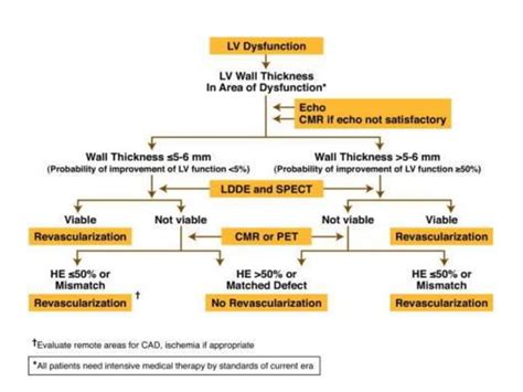 Stunned Myocardium Ppt Pptx
