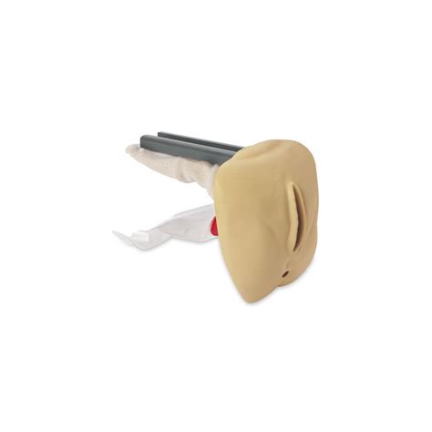 Replacement Genitalia Complete Advanced And Auscultation Female SEM Trainers