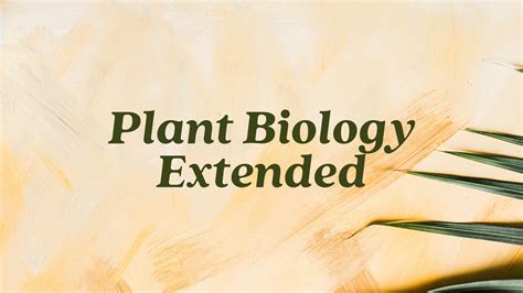 On Demand Extended Exploring Cellular Dynamics With High Spatiotemporal Resolution Imaging