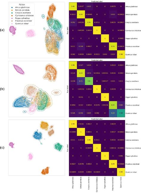 Figure 4 From Real Time Pollen Identification Using Holographic Imaging