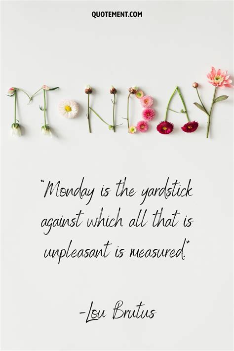150 Funny Monday Quotes To Stop Feeling The Monday Blues