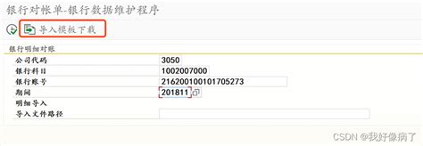 Sap Fico 银行对账单导入功能开发说明书（包括测试样例、程序代码仅作参考，不保证一定可以运行sap导入银行对账单清账 Csdn博客