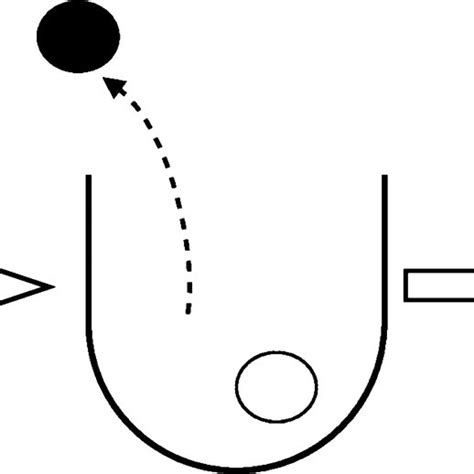 In Pólyas Urn Model A Ball Is Drawn At Random From An Urn And Download Scientific Diagram