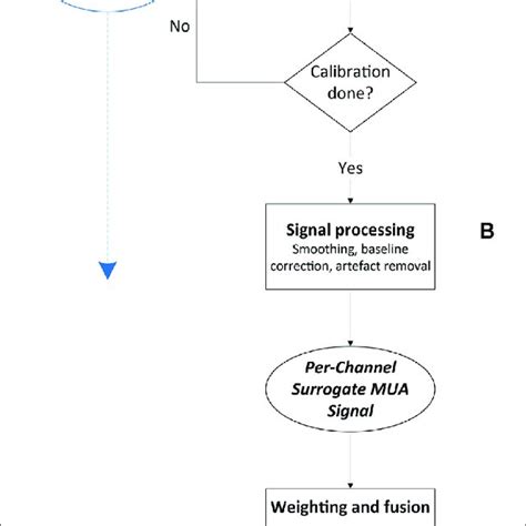 Maternal Uterine Contraction Algorithm Black And Fetal And Maternal