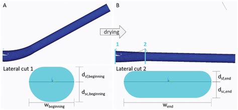 Schematic Depiction Of Setting Of The Finite Element Simulations The Download Scientific