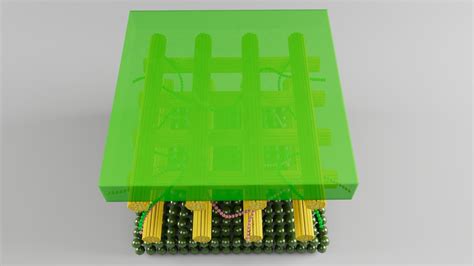 Plant Cell Wall Model 3d Model Cgtrader