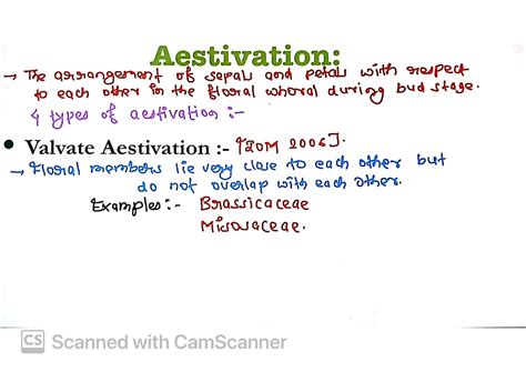 Mission Cee Mission Cee Added A New Photo