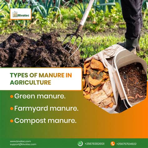 Is Human Manure Used In Organic Farming At Jackson Nicolle Blog