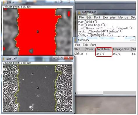 有哪些实用的imagej使用技巧？ 知乎
