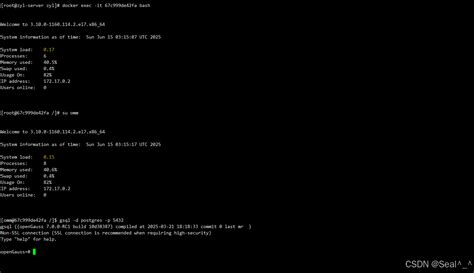 使用docker快速部署opengauss数据库opengauss Docker部署 Csdn博客