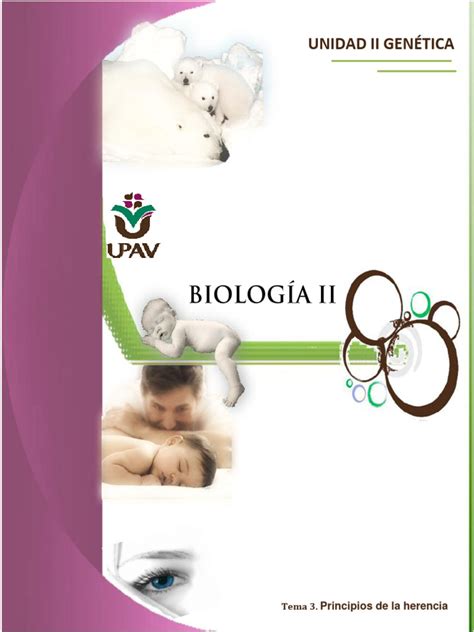 Teoria Cromosomica Pdf Alelo Cigosidad