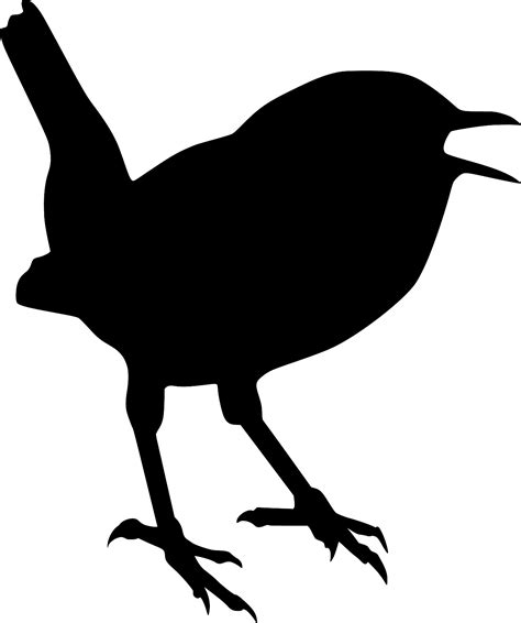 Troglodytes Troglodytes By Anthony Caravaggi Cc0 10 Phylopic