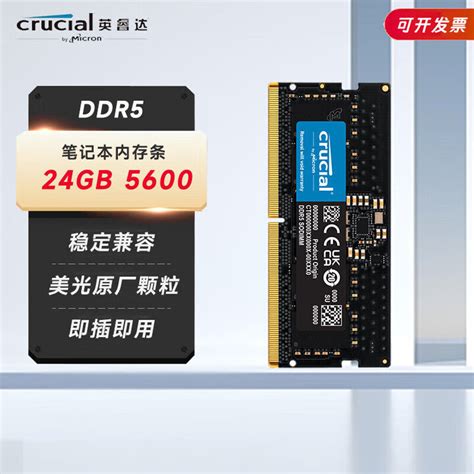 英睿达（crucial）ddr5 5600 频率 高容量 五代 笔记本电脑内存条 24g 5600mhz Ddr5【图片 价格 品牌 报价】 京东