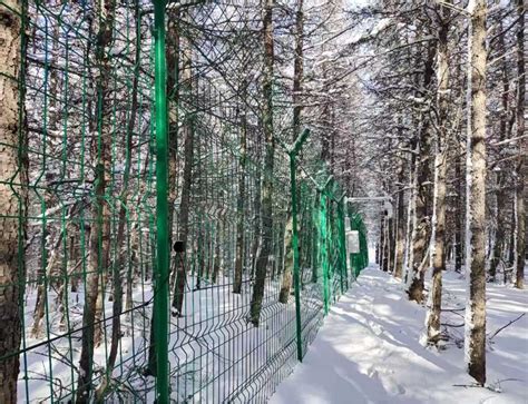 入侵报警系统，周界报警系统，周界防护，周界安防，栅栏防护，微震动传感器周界报警系统，监狱周界报警系统，看守所周界报警系统，机场防入侵报警，高速铁路周界报警