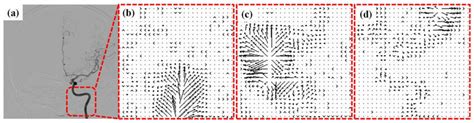 Shown Here Is A Demonstration Of The Optical Flow Technique In A