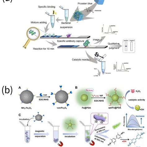Assays For The Detection Of Pathogenic Micro Organisms In Food By Download Scientific Diagram