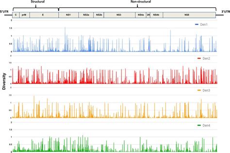 Dengue Virus Genome Protein Structures With Corresponding Proteome Download Scientific Diagram