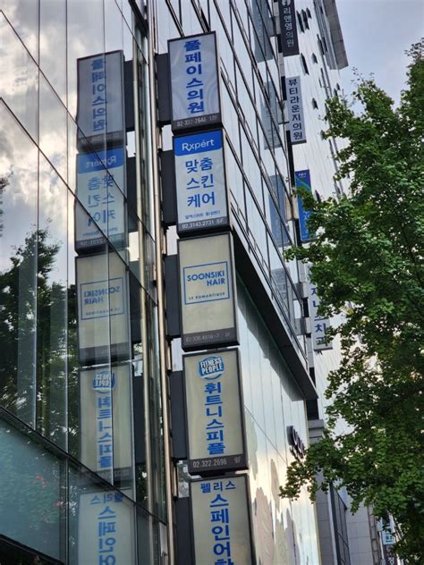 알엑스퍼트rxpert 홍대 에스테틱 네이버 블로그