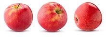 Red Apple Clipart Stock De Foto Gratis Public Domain Pictures