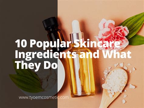 10 Popular Skincare Ingredients And What They Do Ty Cosmetic