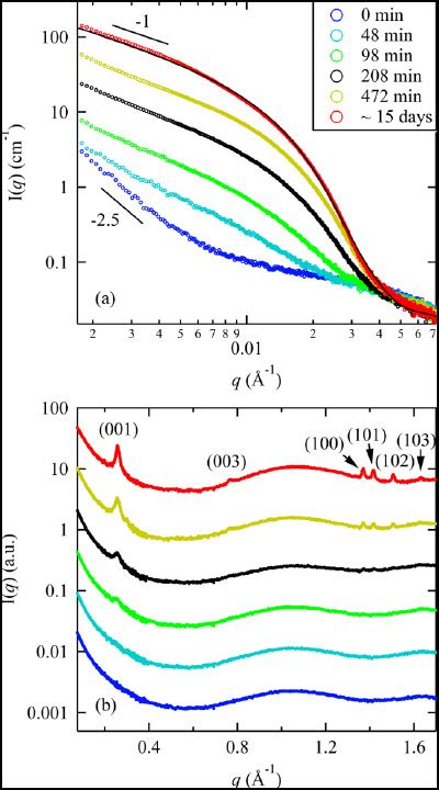 Crystallization Driven Self Assembly Of Coil−comb Shaped Polypeptoid Block Copolymers Chess
