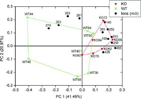 Biplot On The Fi Rst Two Principal Components This Graphic Permits To
