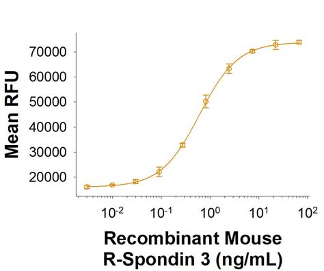 Recombinant Mouse R Spondin 3 Mfc Protein Cf 11540 Rs 010 Randd Systems