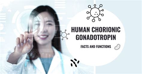 Human Chorionic Gonadotropin Hormone Hcg Facts And Functions