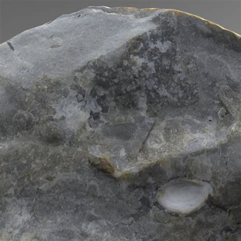 현실적인 바위 3d 모델 9 Max 3ds Obj Dae Fbx Free3d