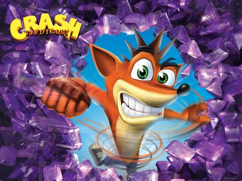 Would Crash Bandicoot Have Done Well On Nintendo Wii Gaming Hearts