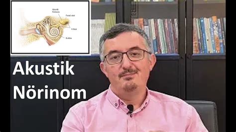 Akustİk NÖrİnom Odyometrİnİn Temellerİ 41 Youtube