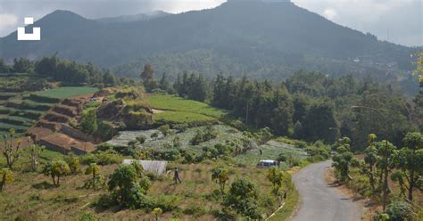 낮에는 푸른 나무와 흰 구름 아래 산 사진 Unsplash의 무료 회색 이미지