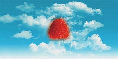 floating raspberry behance