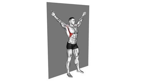 Scapular Pull Up Ultimate Guide And Tips