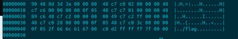 Shellcode May Read Syscall Not Set First Bytes Of A Buffer