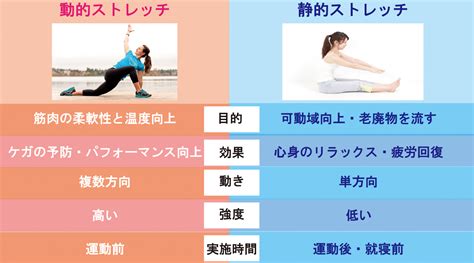 運動前の動的ストレッチ7選！静的ストレッチとの違いや効果を解説