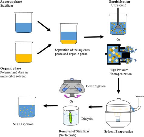 Effects Of Freezing And Freeze Drying On Protein Conjugated
