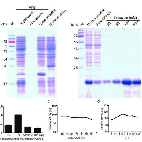 The Expression And Activity Evaluation Of Recombinant Silkworm Download Scientific Diagram