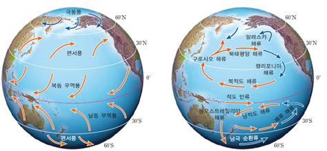 금성출판사 티칭백과