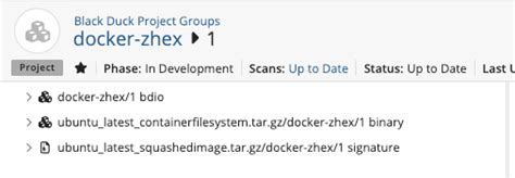 Docker Image Scanning Cli Examples And Some Qandas
