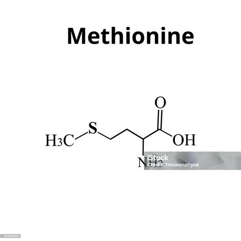 메티오닌은 아미노산입니다 메티오닌 아미노산의 화학 분자 포뮬러 격리된 배경의 벡터 그림 0명에 대한 스톡 벡터 아트 및 기타 이미지 0명 건강관리와 의술 과학