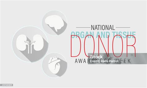 매년 4월 21일부터 27일까지 관찰되는 전국 장기 및 조직 기증자 인식 주간 벡터 배너 전단지 포스터 및 소셜 미디어 템플릿 디자인 개념에 대한 스톡 벡터 아트 및 기타